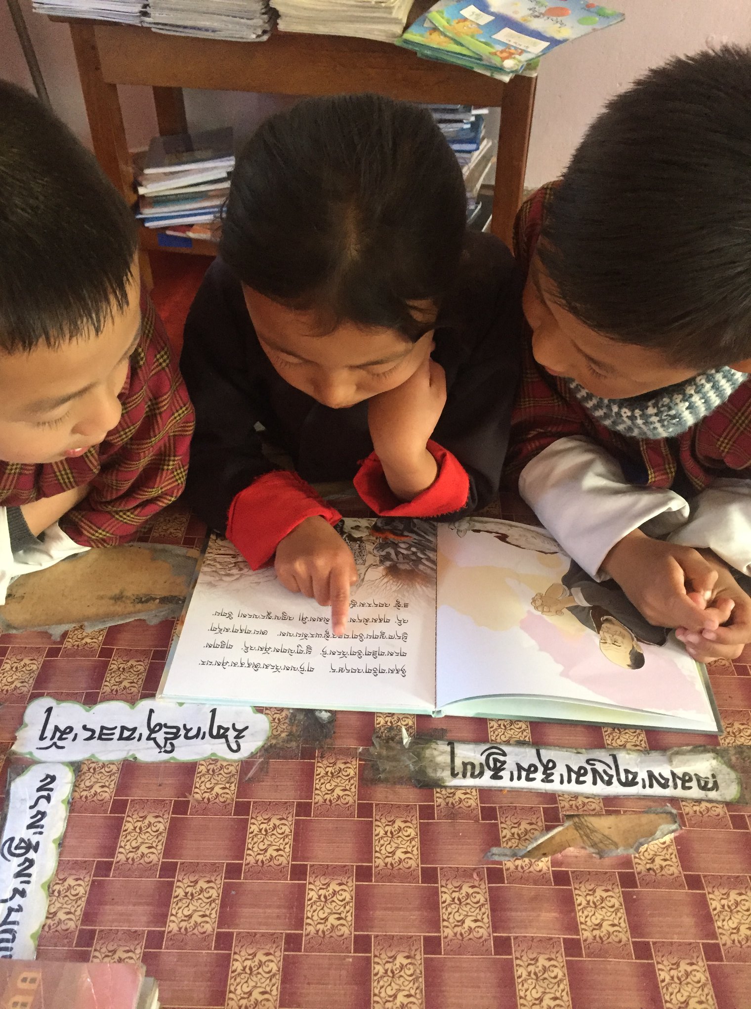 Snow Leopard Conservation Education Games Developed for Highland ...