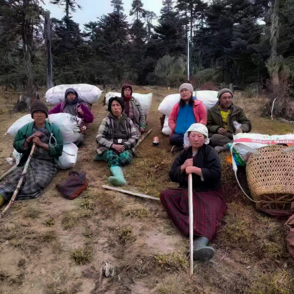 Gakhil Sang Group of Shingkhar Begins Incense Production - Bhutan ...