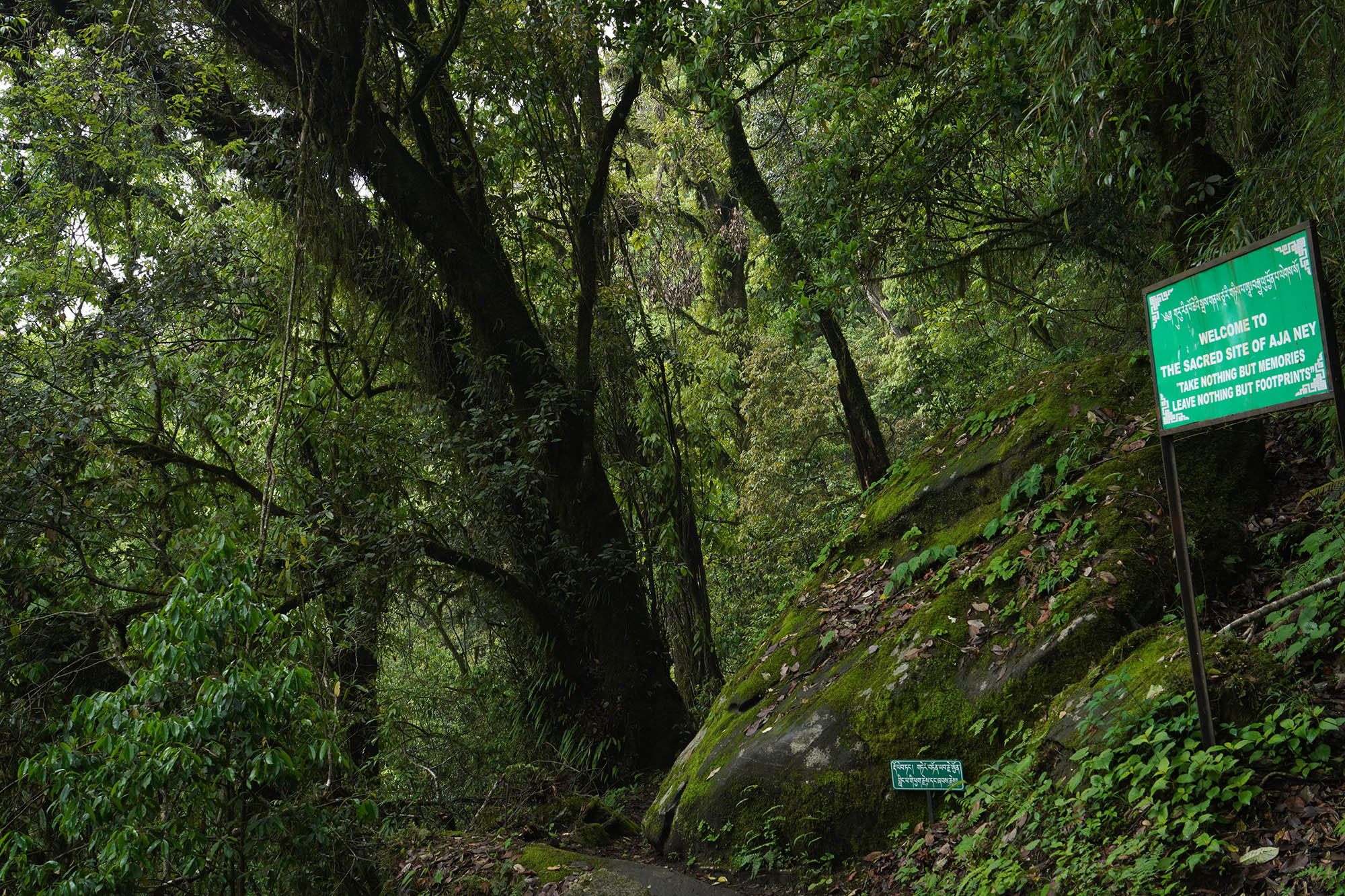 80 kW Decentralized Distributed Generation Solar PV System to Benefit ...