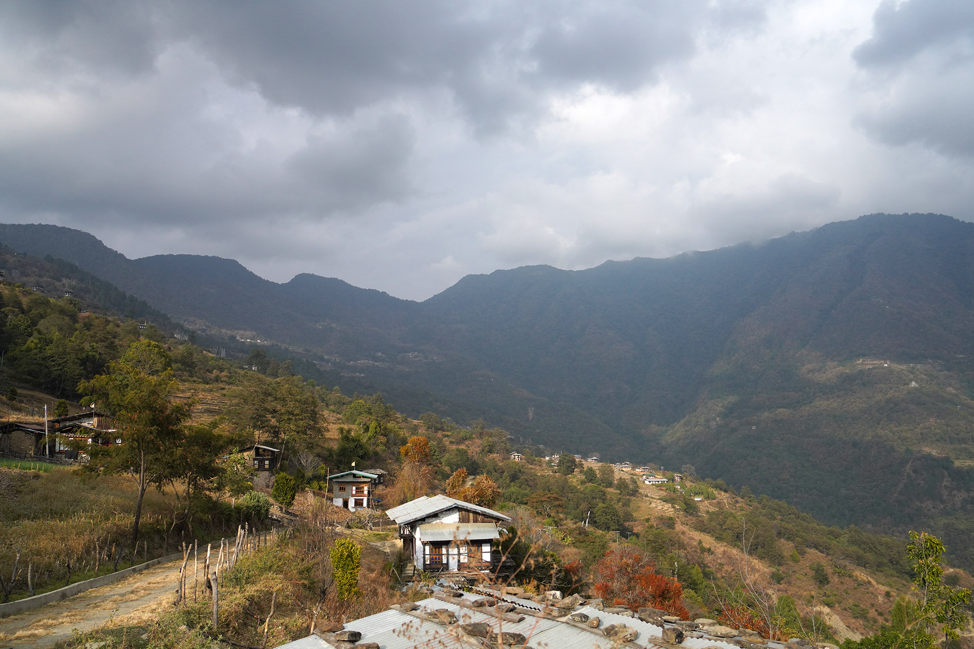 Field Notes From Bhutan - Bhutan Foundation