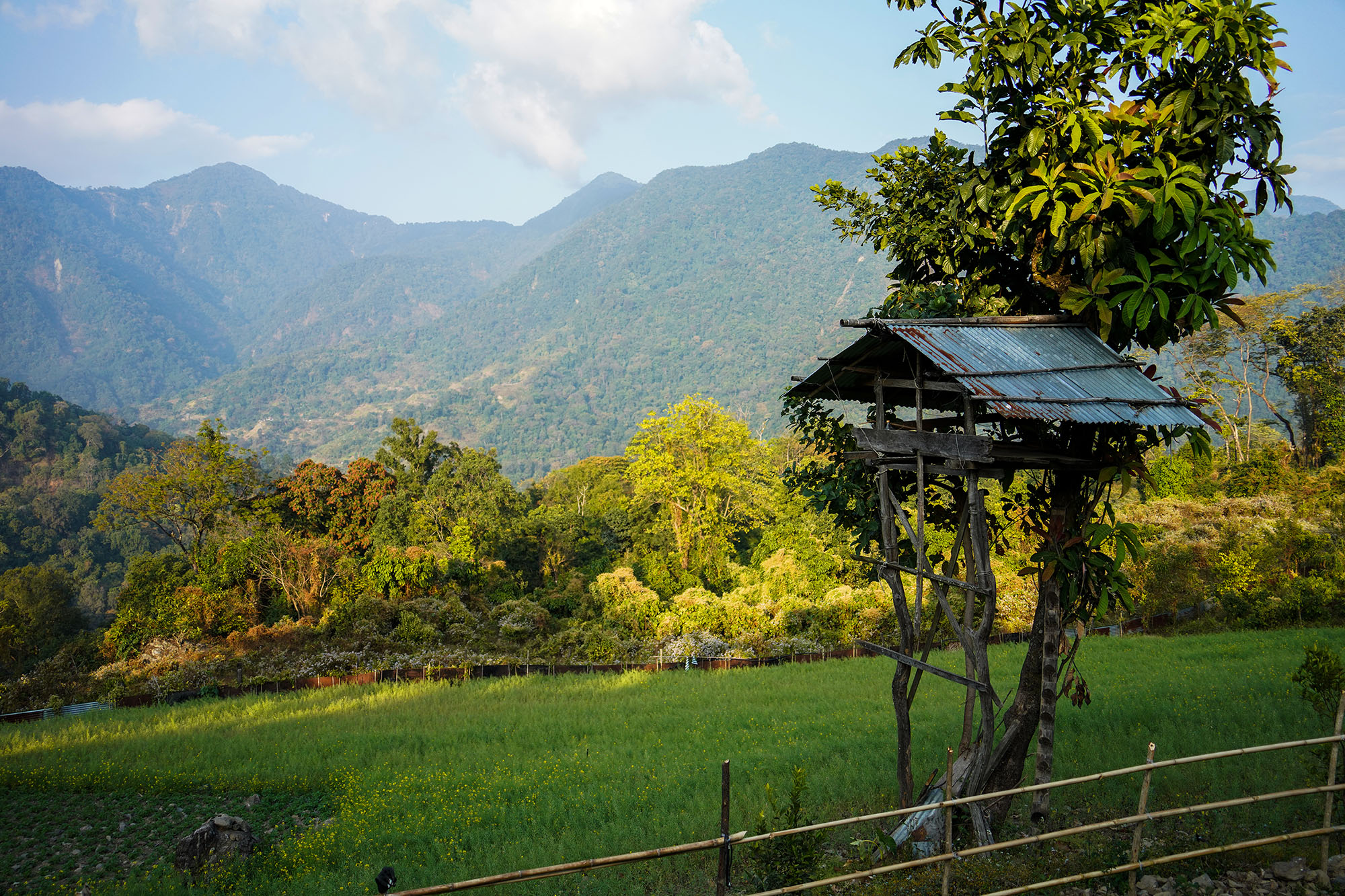 Field Notes From Bhutan - Bhutan Foundation