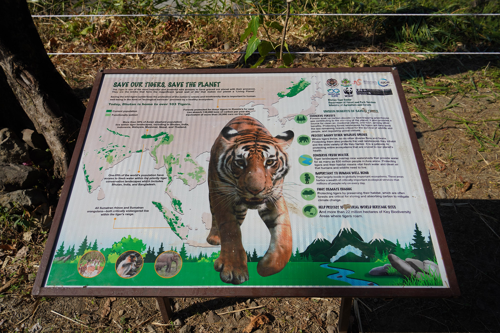 Field Notes From Bhutan - Bhutan Foundation