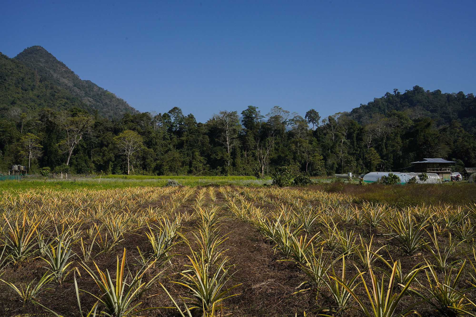 Field Notes From Bhutan - Bhutan Foundation