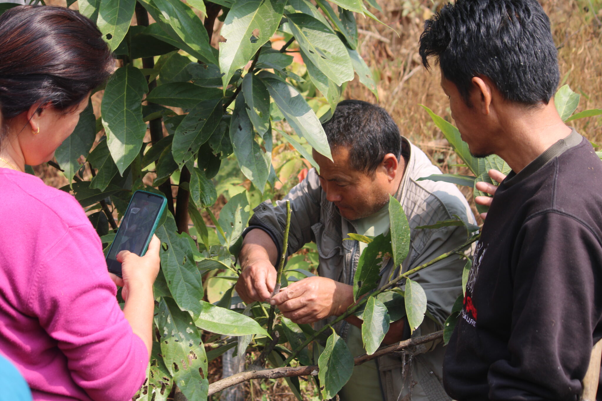 Empowering Smallholder Farmers and Strengthening Rural Communities in ...