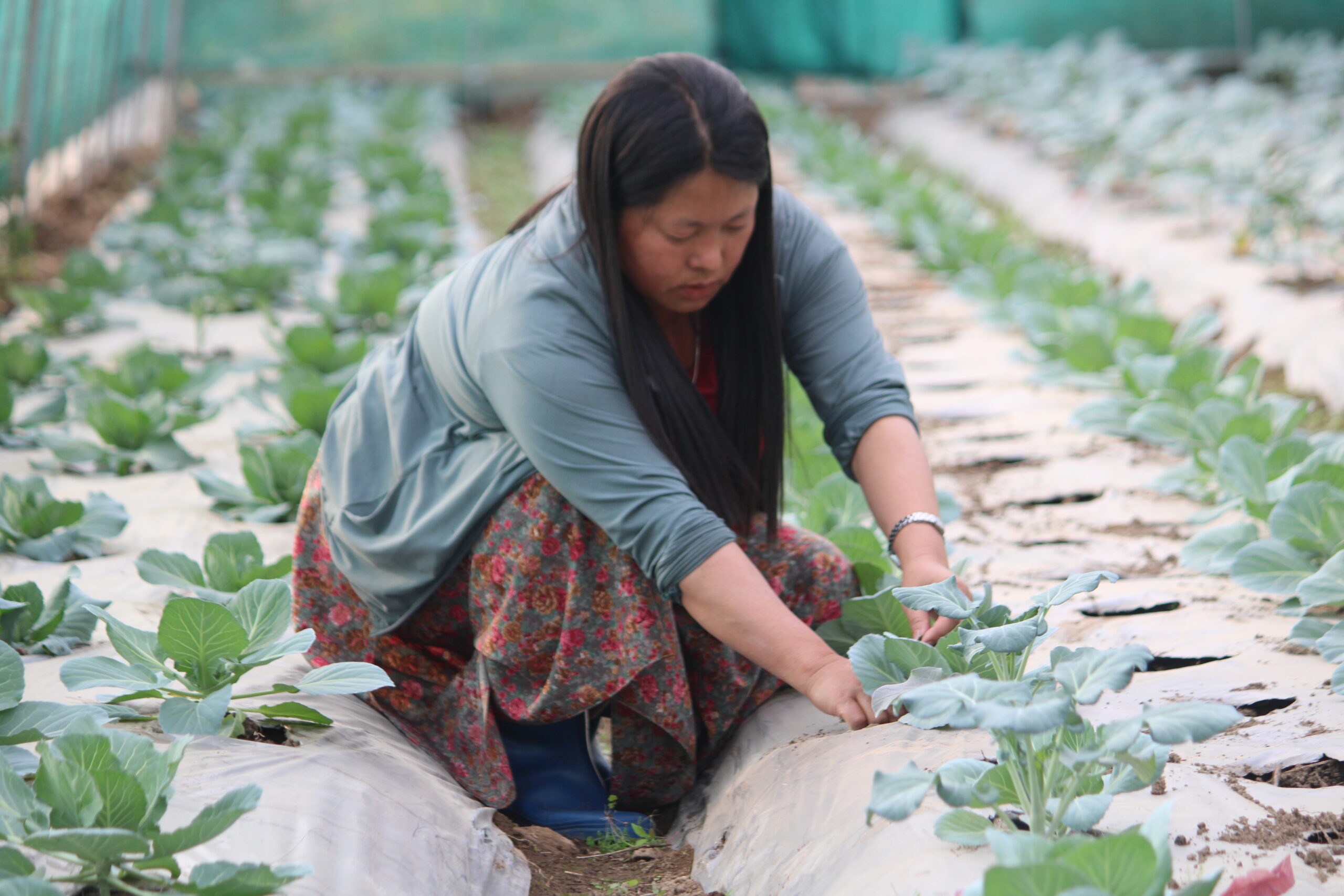 Empowering Smallholder Farmers and Strengthening Rural Communities in ...