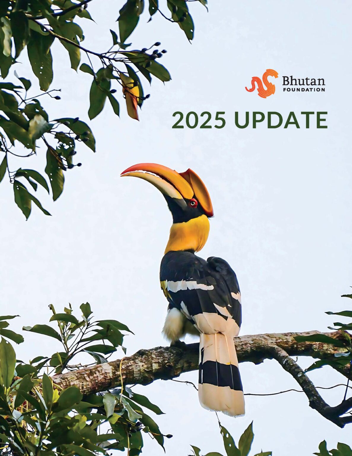 Home - Bhutan Foundation