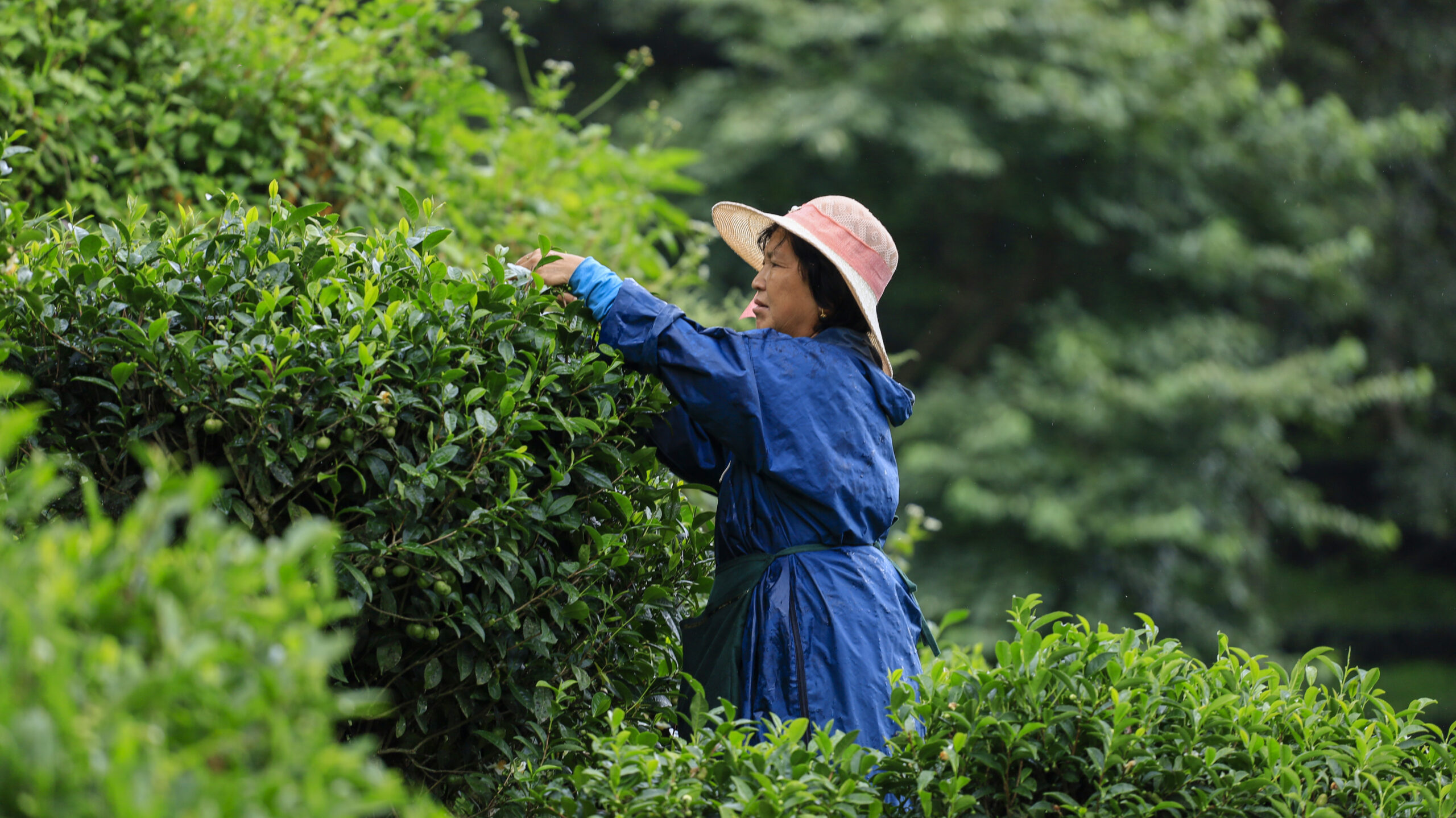 Bhutan Foundation Small Grants Program 2026–2027 | Call for Proposals ...